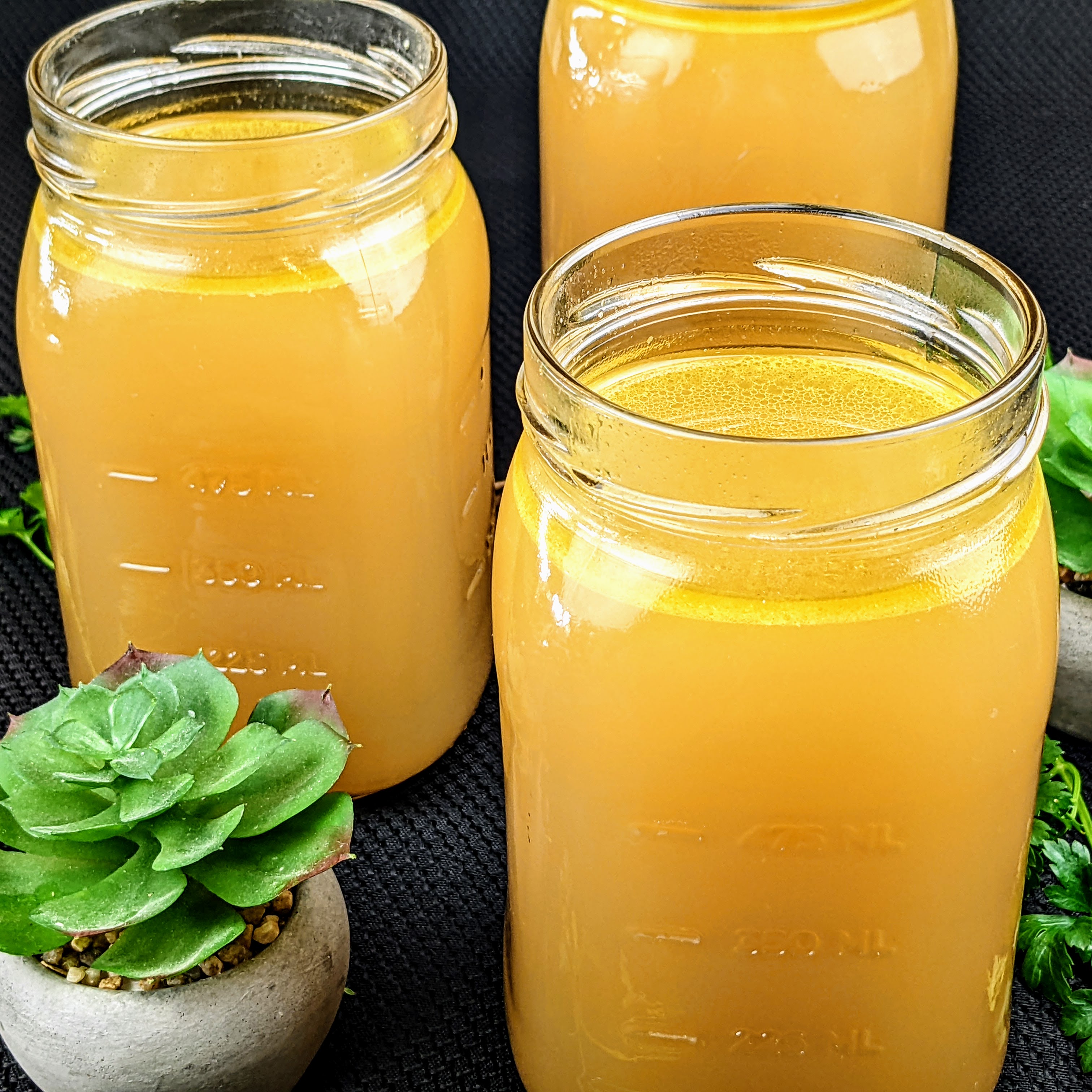 All Purpose Chicken Stock – Global Dine In